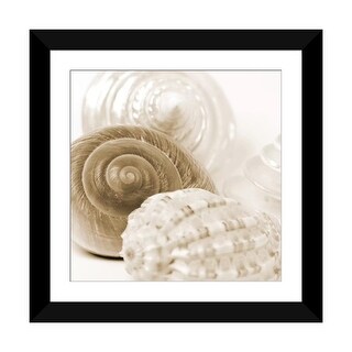 iCanvas "Sepia Shells" by Tom Quartermaine - Bed Bath & Beyond - 37389245