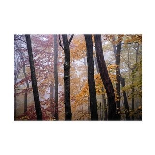Kelly Sinclair 'October Trees' Canvas Art - Bed Bath & Beyond - 39535293