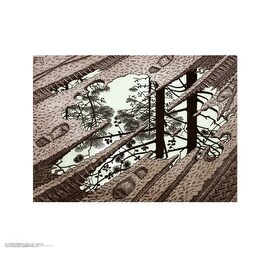 ''Puddle'' by M.C. Escher Optical Art Art Print (21.75 x 25.625 in ...