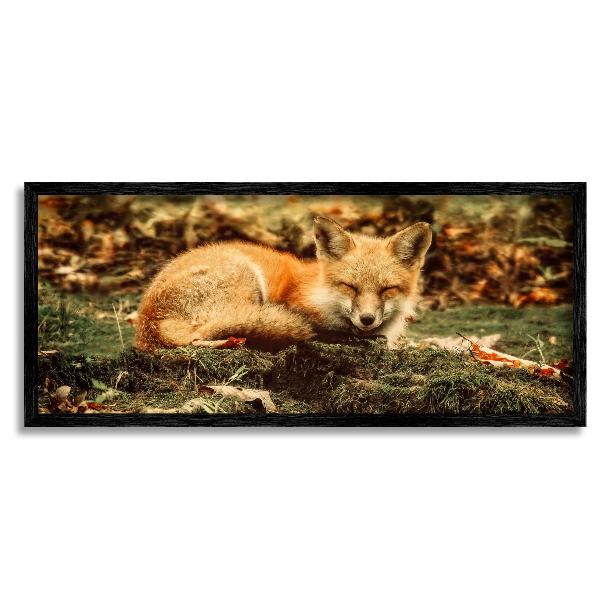 sleeping fox design