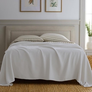 Full Knitted Cotton Full Blanket White - Bed Bath & Beyond - 40879813