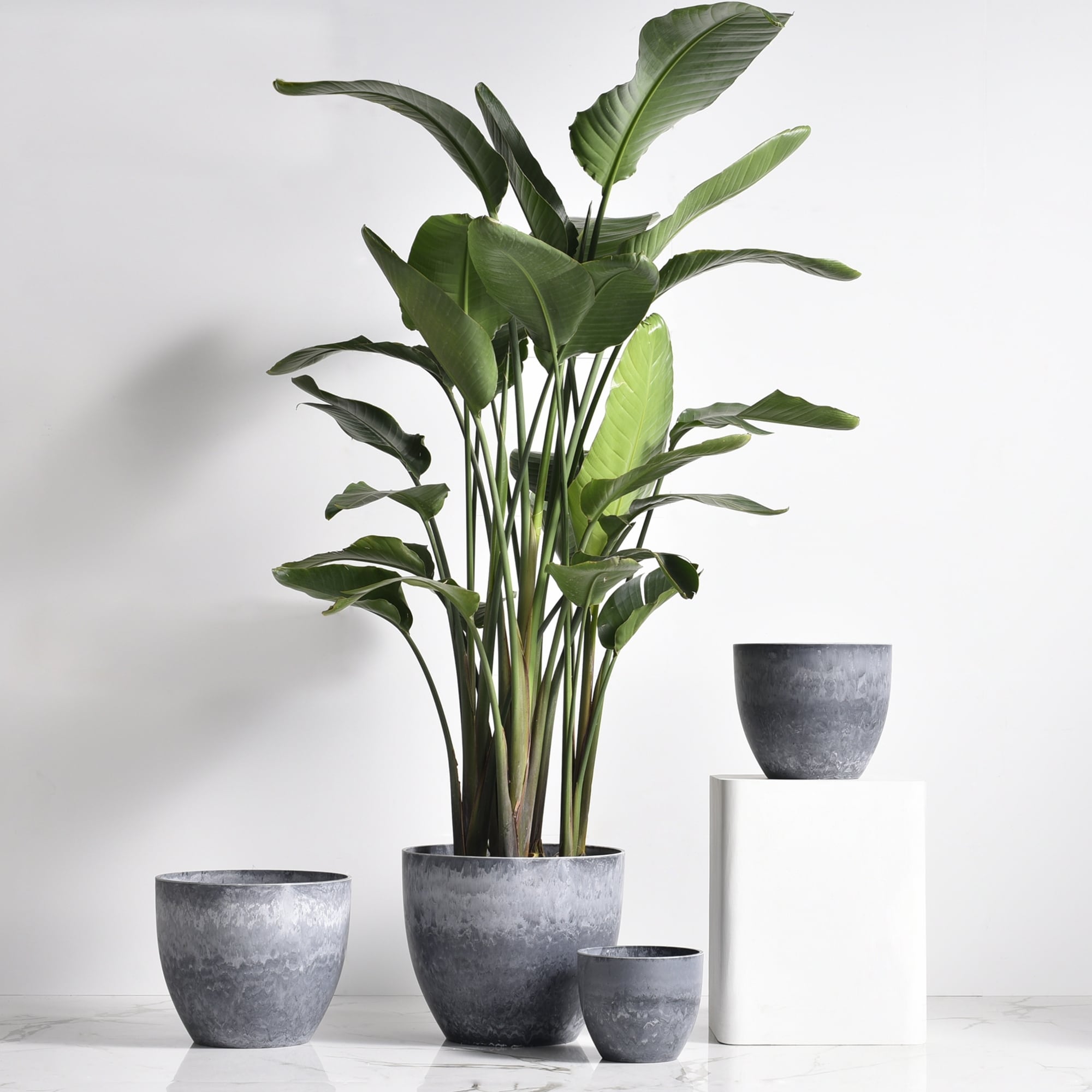 Planter Pots - Bed Bath & Beyond