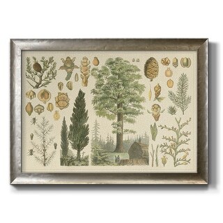 Arbor Collection Premium Framed Canvas- Ready to Hang - Bed Bath ...