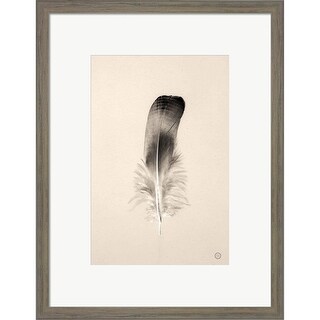 Nathan Larson 'Floating Feathers IV Sepia' Framed Art - Bed Bath ...