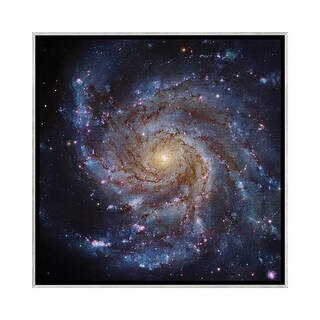 iCanvas "M101, The Pinwheel Galaxy" by Robert Gendler Framed - Bed Bath ...