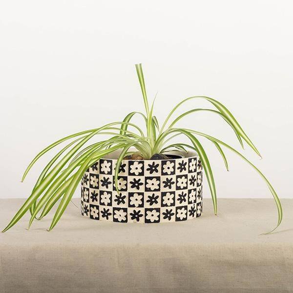 Oval Checkered Pattern With Flowers Planter - Bed Bath & Beyond - 40305602