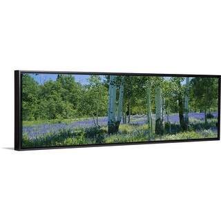 "Field of lupine and aspen trees, Wasatch Plateau, Utah" Black Float ...