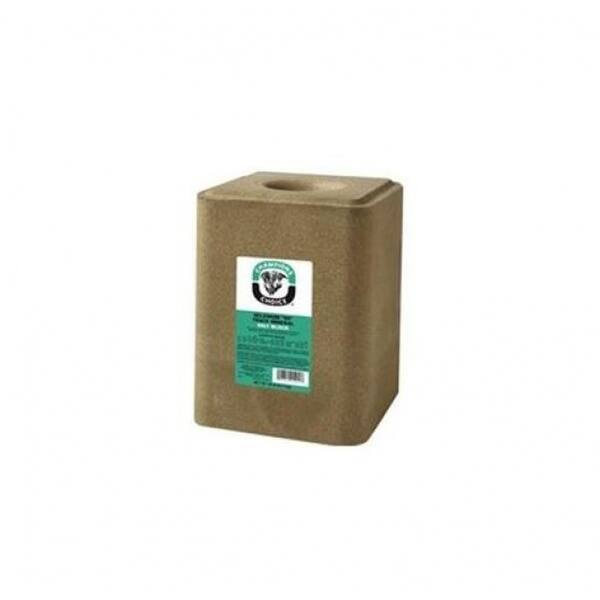 Champions Choice 100012623 Selenium 90 Trace Mineral Salt Block, 50 lbs ...