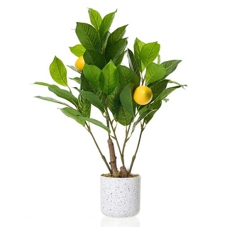 2 Pack 19.7" Artificial Lemon Trees, Faux Potted Plants for Home ...