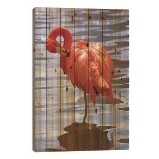 The Beautiful Flamingo Print On Wood by Lisa S. Engelbrecht - Multi ...