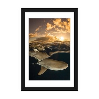 iCanvas "A Blacktip Reef Sh-rk At Sunset Off The Island Of Yap ...