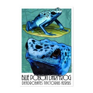 Blue Poison Dart Frog Dendrobates tinctorius azureus Art Print/Poster ...