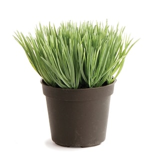 Mini Potted Grass Gray/Green - Bed Bath & Beyond - 39767018