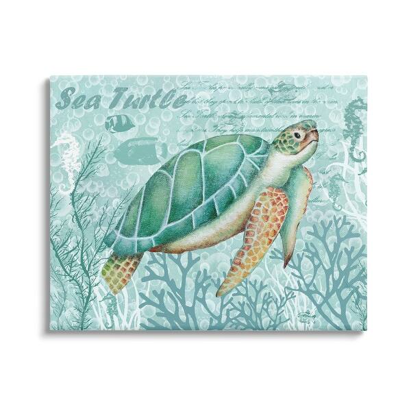Stupell Coral Bordered Sea Turtle Seahorse Script Calligraphy Canvas ...