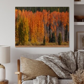 Designart 'Fall Trees Panorama' Country Wood Wall Art Panels - Natural ...