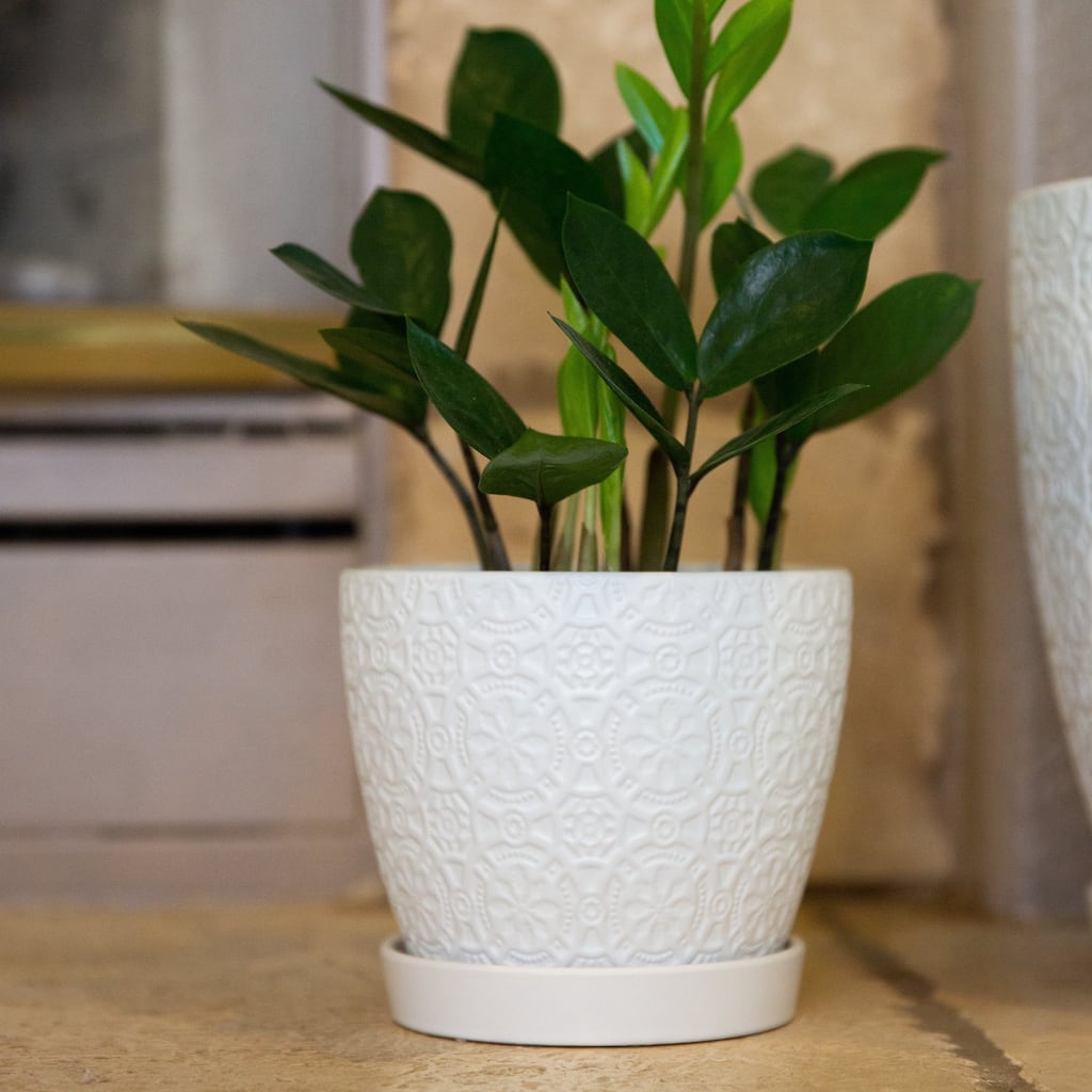 Cathedral Ceramic planter with saucer - Overstock - 32965634