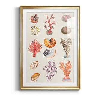 Coral & Shell Collage I Premium Framed Print - Ready to Hang - Bed Bath ...