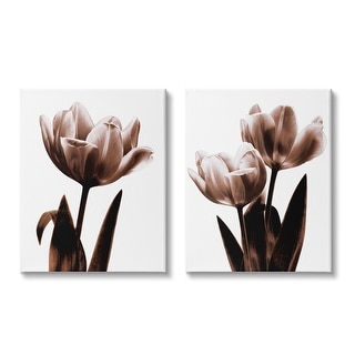Stupell Modern Tulip Silhouettes 2 Piece Canvas Wall Art Set Design by ...
