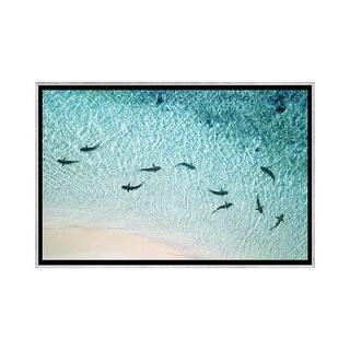 iCanvas "Sh-rks Patrolling Beach Shoreline" by James Vodicka Framed ...