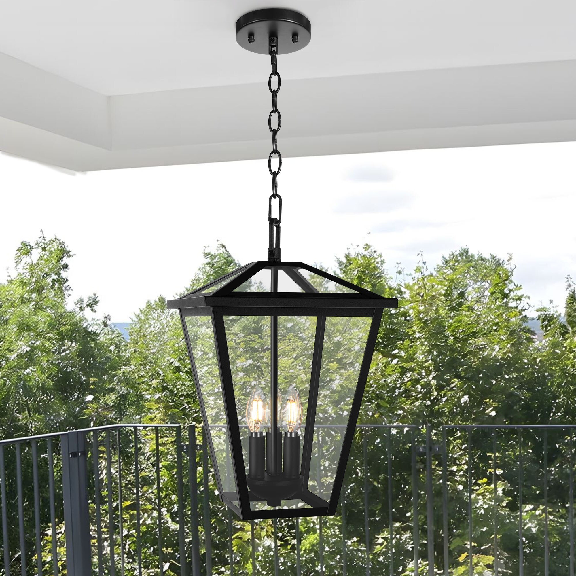 2-Light Black Large Transitional Outdoor Hanging Pendant Light with ...