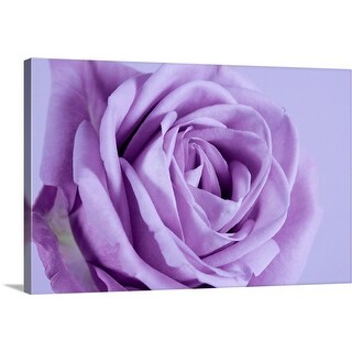 "Purple rose" Canvas Wall Art - Bed Bath & Beyond - 16471906