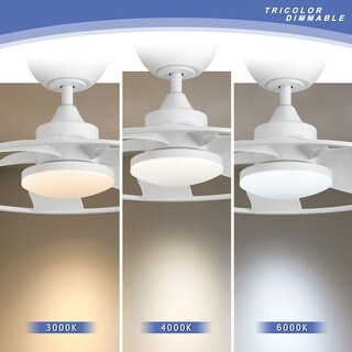 22 In Intergrated LED Ceiling Fan Lighting with Brown, Remote Control ...