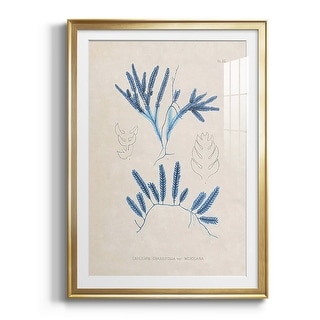 Blue Marine Algae I Premium Framed Print - Ready to Hang - Bed Bath ...