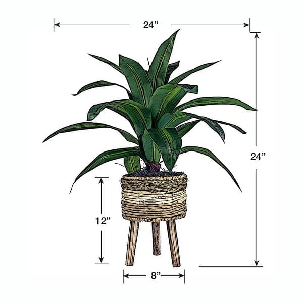 24-inch Artificial Dracaena Plant in Tri-Color Basket Stand - Bed Bath ...