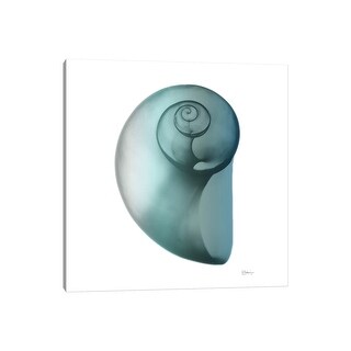 iCanvas "Water Snail II" by Albert Koetsier Canvas Print - Bed Bath ...