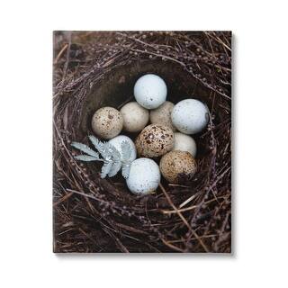 Stupell Close Up Bird Eggs Nest Wildlife Nature Photography Canvas Wall ...
