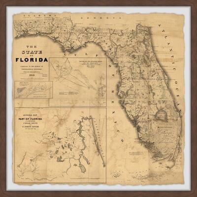'Illustrated Map of Florida' Framed Painting Print - Overstock - 33068802
