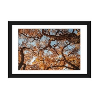 iCanvas "Cottonwood trees in fall foliage, Rio Grande Nature Park ...