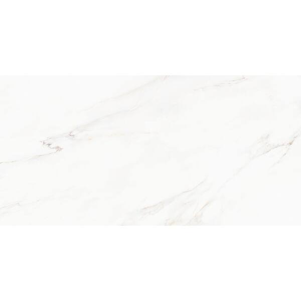 The Tile Life Huntington 12-in x 24-in White Matte Porcelain Floor and ...