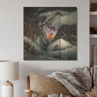 Designart 'A Blooming Crocus Flower In Winter III' Floral Crocus Wood ...