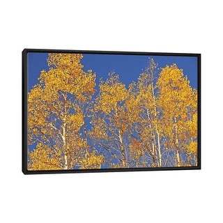 iCanvas "Blue Sky Aspens" by Brian Wolf Framed Canvas Print - Bed Bath ...