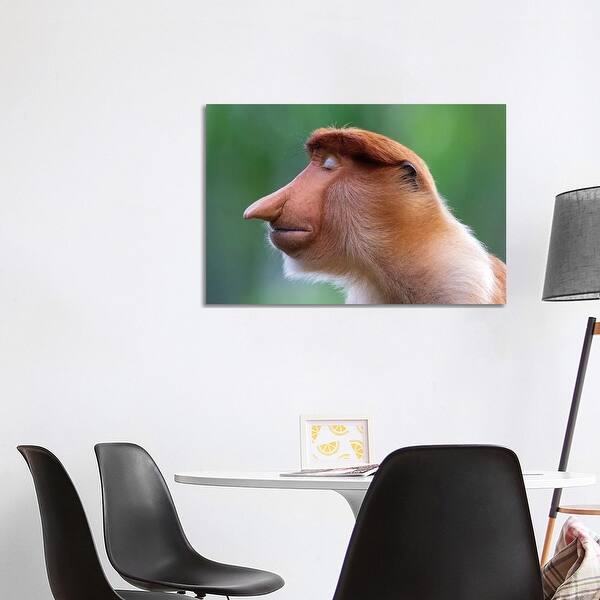 iCanvas "Proboscis Monkey The Inner World" by Mogens Trolle Canvas ...
