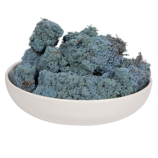 Vickerman Natural Botanicals 9 lb. Light Blue Reindeer Moss, Preserved ...