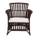 Brooklyn Bohemian Very Dark Brown Rattan Arm Chair - Bed Bath & Beyond ...