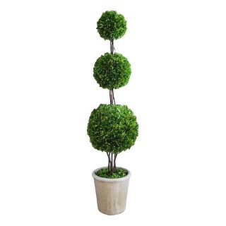 Preserved Boxwood Topiary - Triple Ball - 59 Inch - 59"H - Bed Bath ...