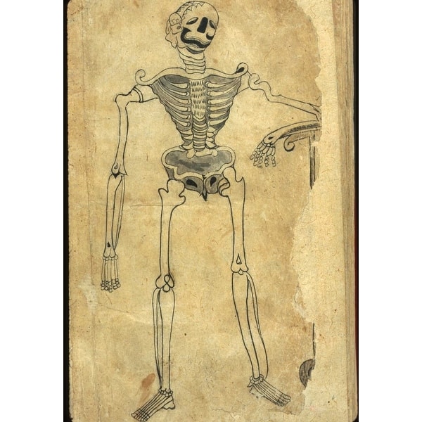 Human Skeleton Leaning On A Scythe History - Bed Bath & Beyond - 24348544