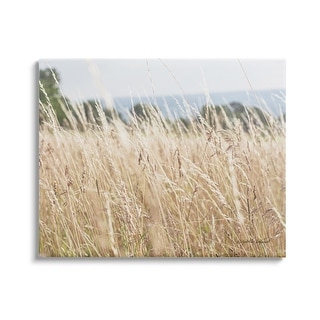 Stupell Rural Wheat Field Spring Breeze Stretched Canvas Wall Art ...