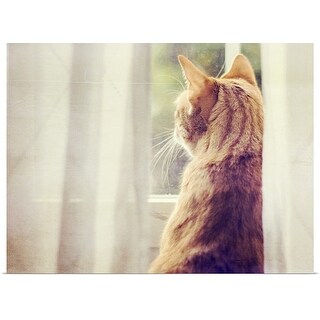 "Cat animal looking through window silhouette." Poster Print - Multi ...