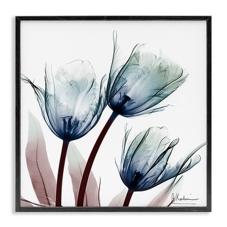 Stupell Translucent Tulip Bulbs Framed Giclee Art Design By Albert ...