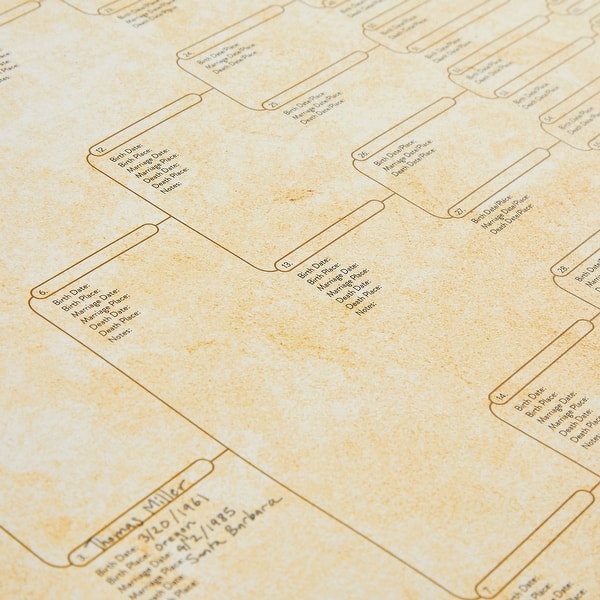 15 Pack Family Tree Charts to Fill In, Blank Eight Generation Genealogy ...
