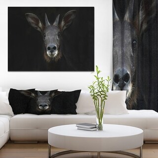 Designart "Serow Tiger In The Dark" Animals photography Print on ...