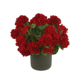 Red Geranium Arrangement in a Fiberstone Pot - Red, Gray - Bed Bath ...