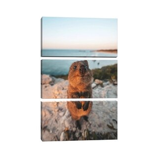 iCanvas "Cute Quokka By The Ocean" by James Vodicka 3-Piece Canvas Wall ...