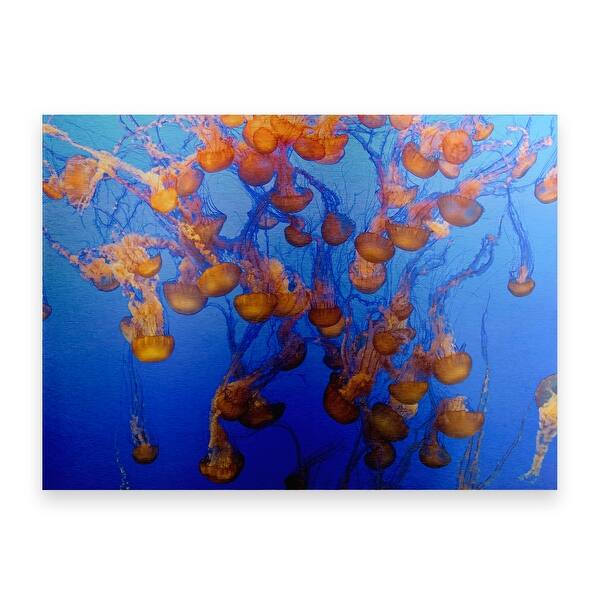 billposter 'Arrows Air Show' Floating Brushed Aluminum Art - Bed Bath ...