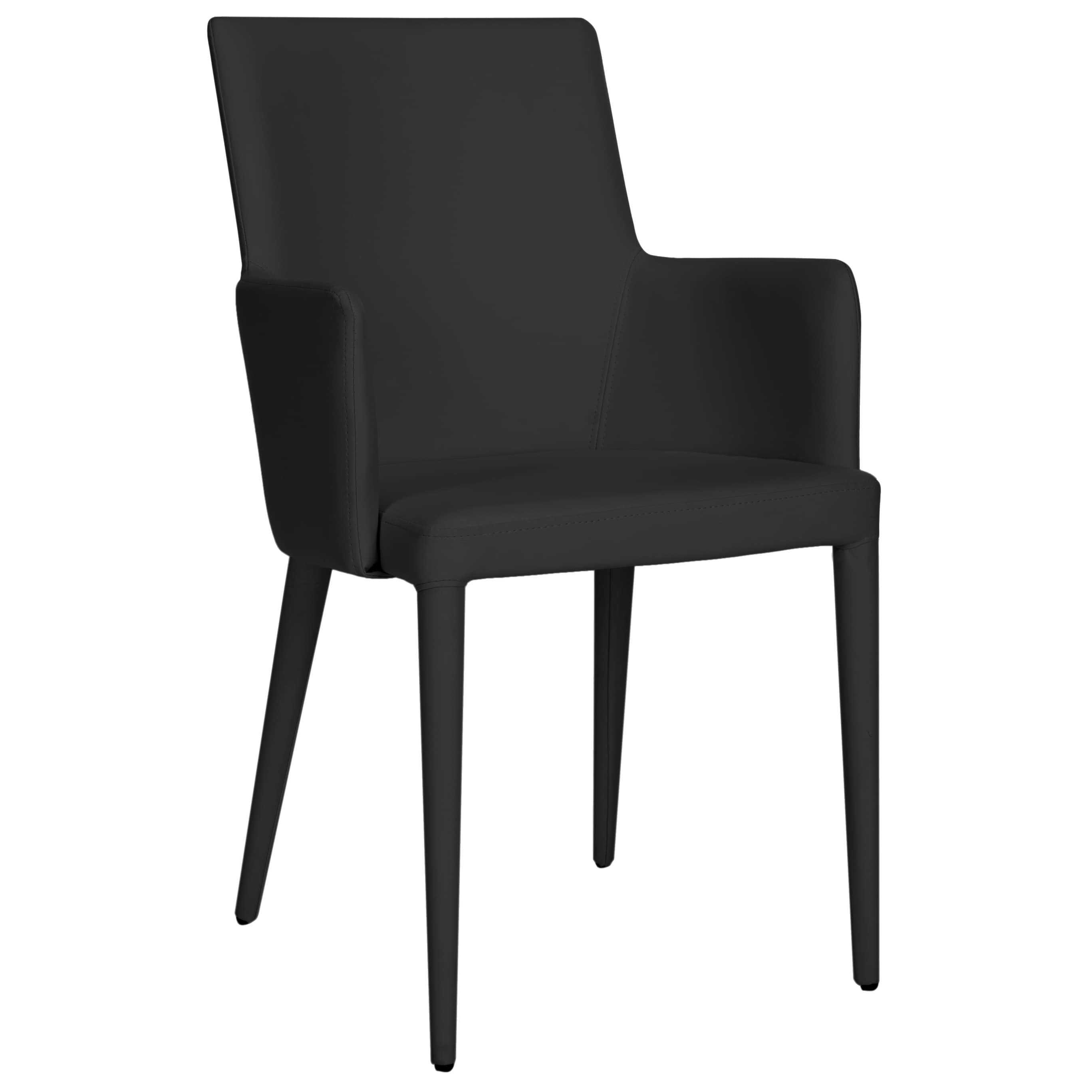 Safavieh Summerset Arm Chair Black FOX2015B