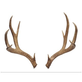 "Ten-point deer antlers" Poster Print - Multi - Bed Bath & Beyond ...